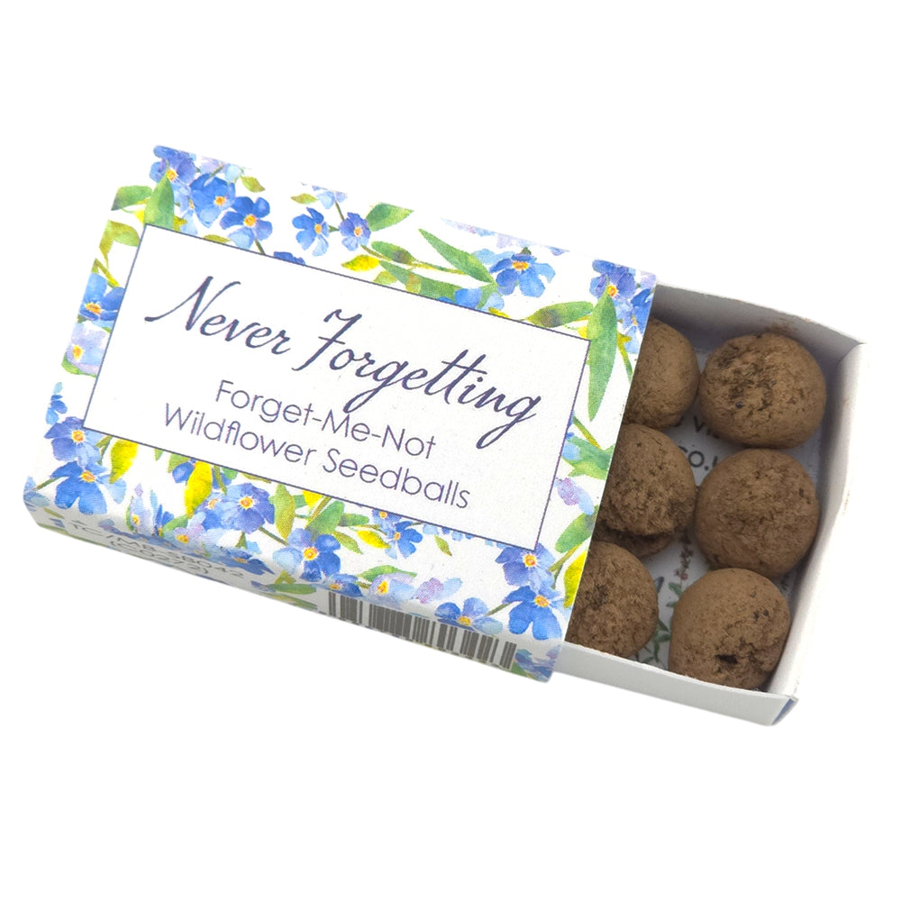 Never Forgetting | Forget Me Not Seedballs | Cracker Filler | Mini Gif ...