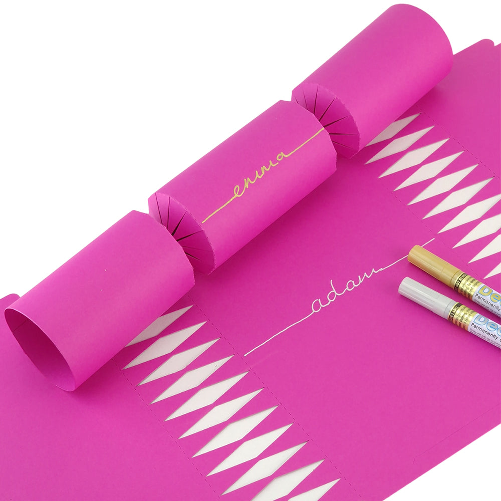 Shocking Pink | 12 Personalise Your Own Crackers | Make & Fill Your Ow ...