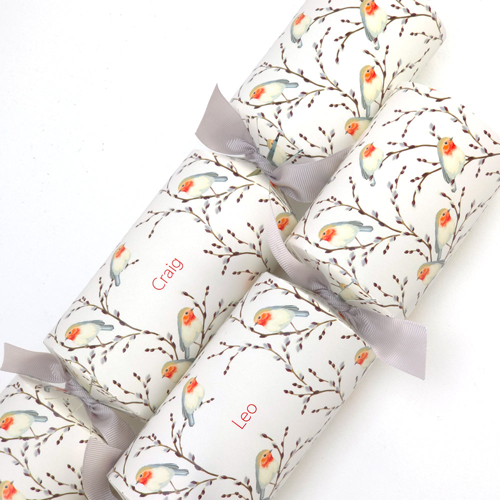 Personalised Cracker Making Craft Kit | Willow & Robin | Makes 4 or 6 ...