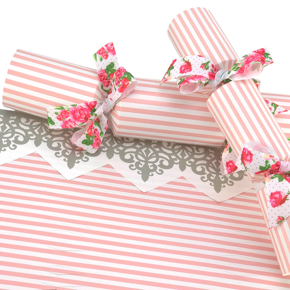 Pink Candy Stripes | Cracker Making Craft Kit | Make Your Own – The ...