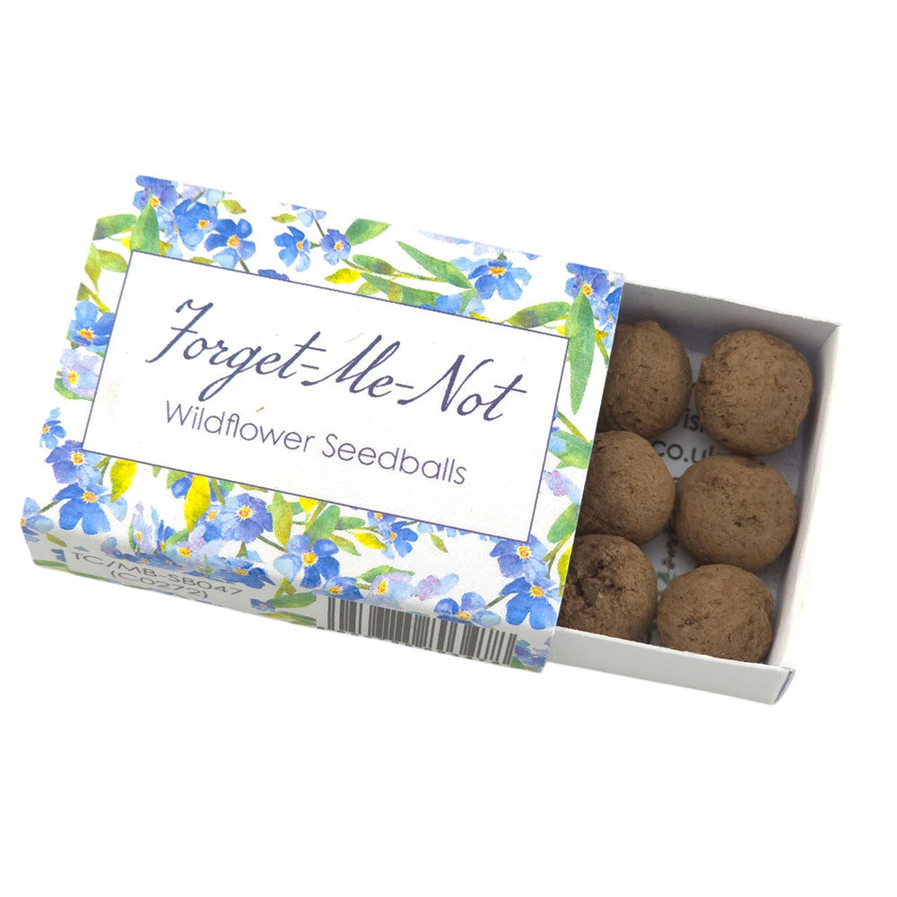 Watercolour Forget Me Not | Seedball Matchbox | Cracker Filler | Mini ...