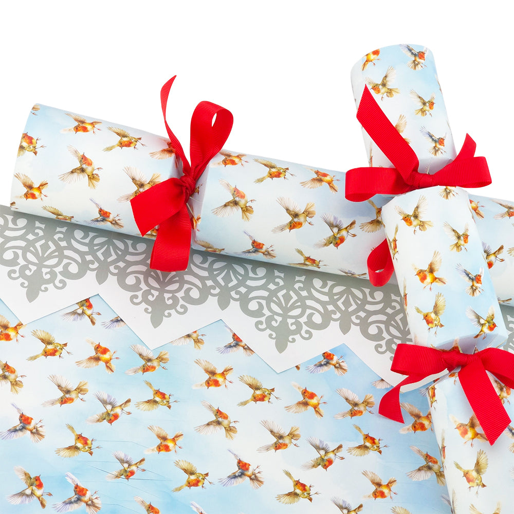 Watercolour Robins | Cracker Making Craft Kit | Make Your Own – The ...