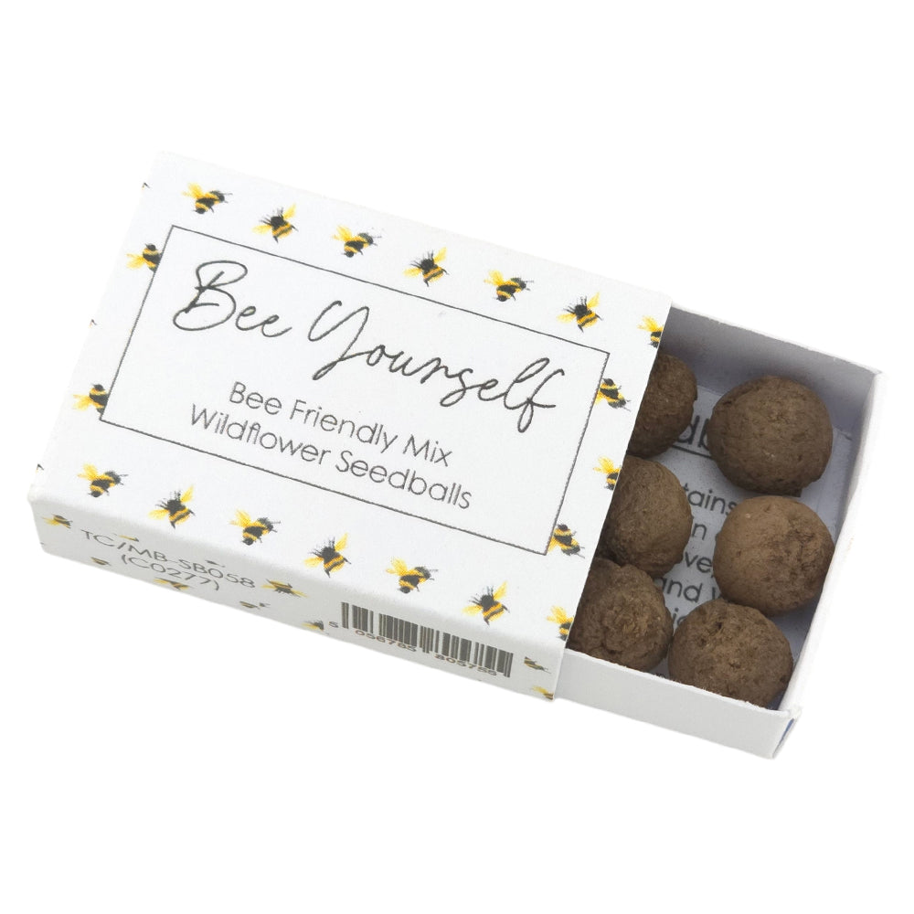 Bee Yourself | Seedball Matchbox | Bee Mix | Cracker Filler | Mini Gif ...