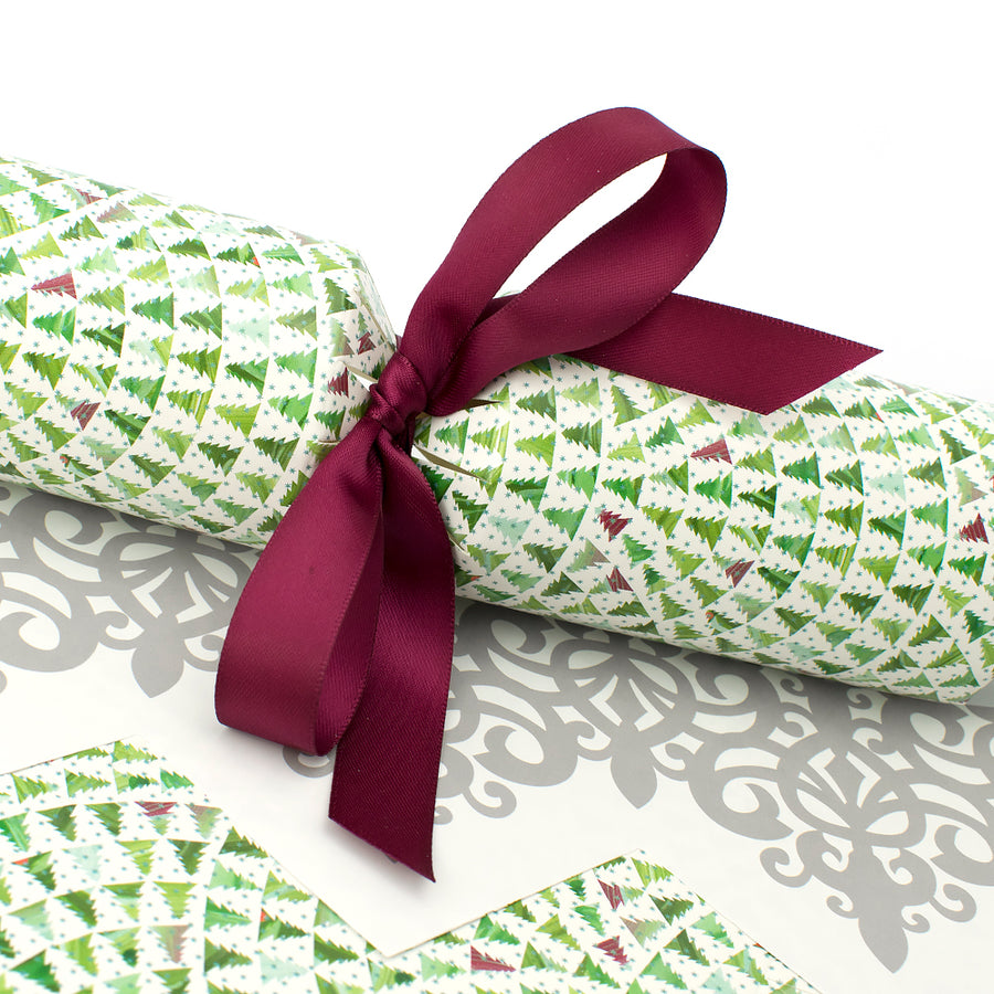 Cracker Making Craft Kits | Make & Fill Your Own | The Cracker Company